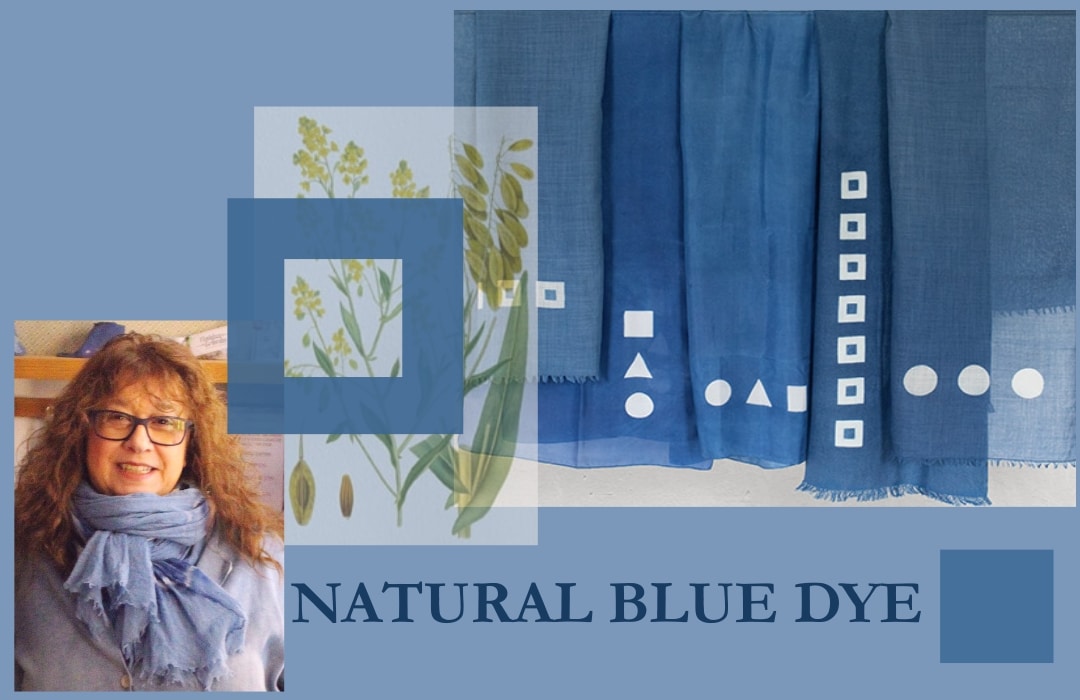 Blue plant dyeing with woad in Medieval town of Erfurt